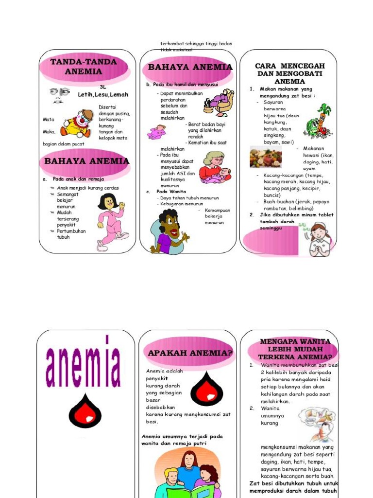 Leaflet Anemia | PDF