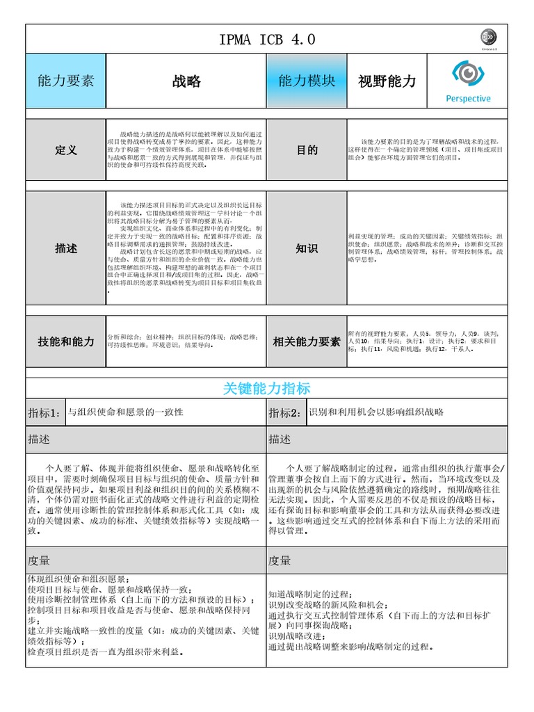 Ipma Icb 4.0 视野能力-战略 | PDF