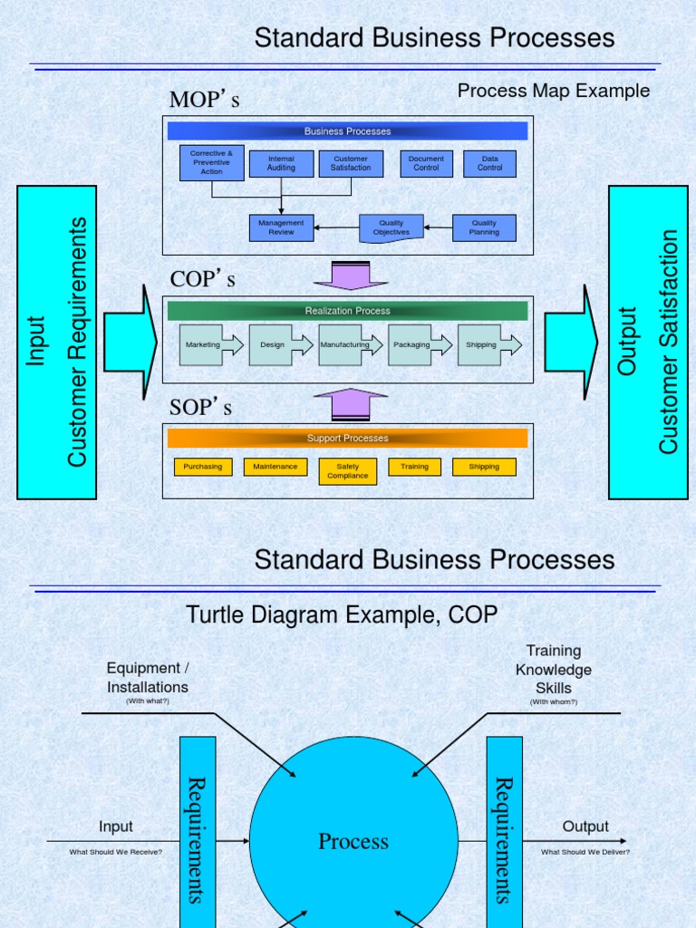 Process Maps and Turtle Diagrams Example | PDF | Business Process ...