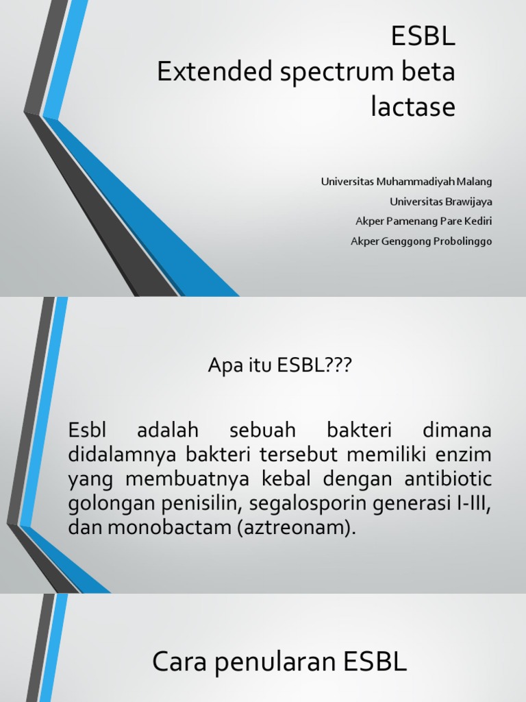 ESBL | PDF