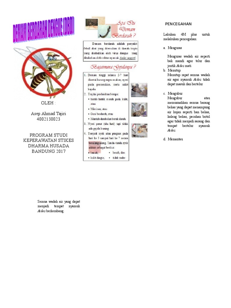 Leaflet DBD Edit | PDF