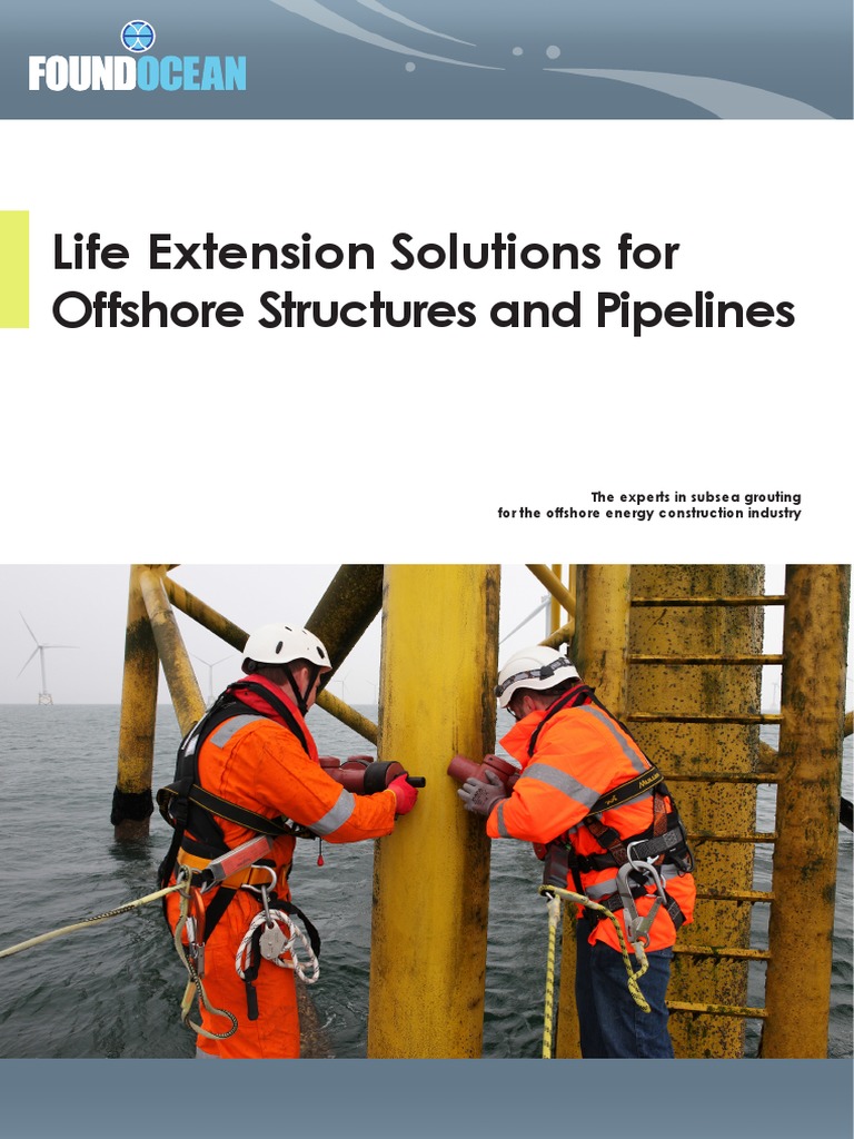 5 Guidelines For Struct Integrity Assessment of Existing Platforms ...