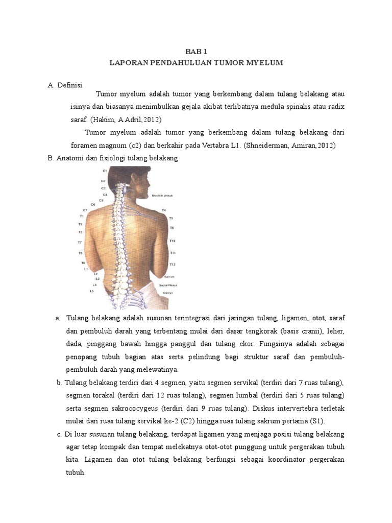 Tumor Myelum: Definisi & Klasifikasi | PDF