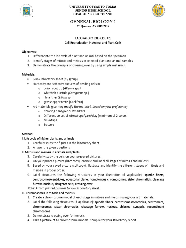 Lab Act 1 | PDF | Meiosis | Mitosis