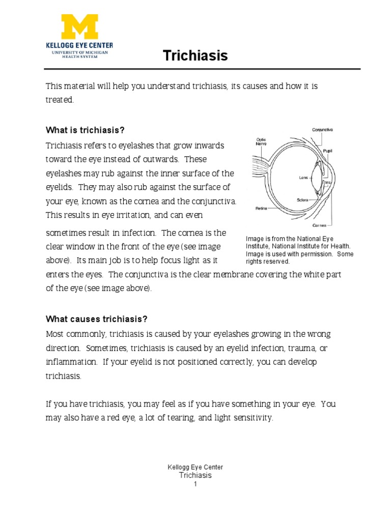 Trichiasis | PDF | Human Eye | Cornea