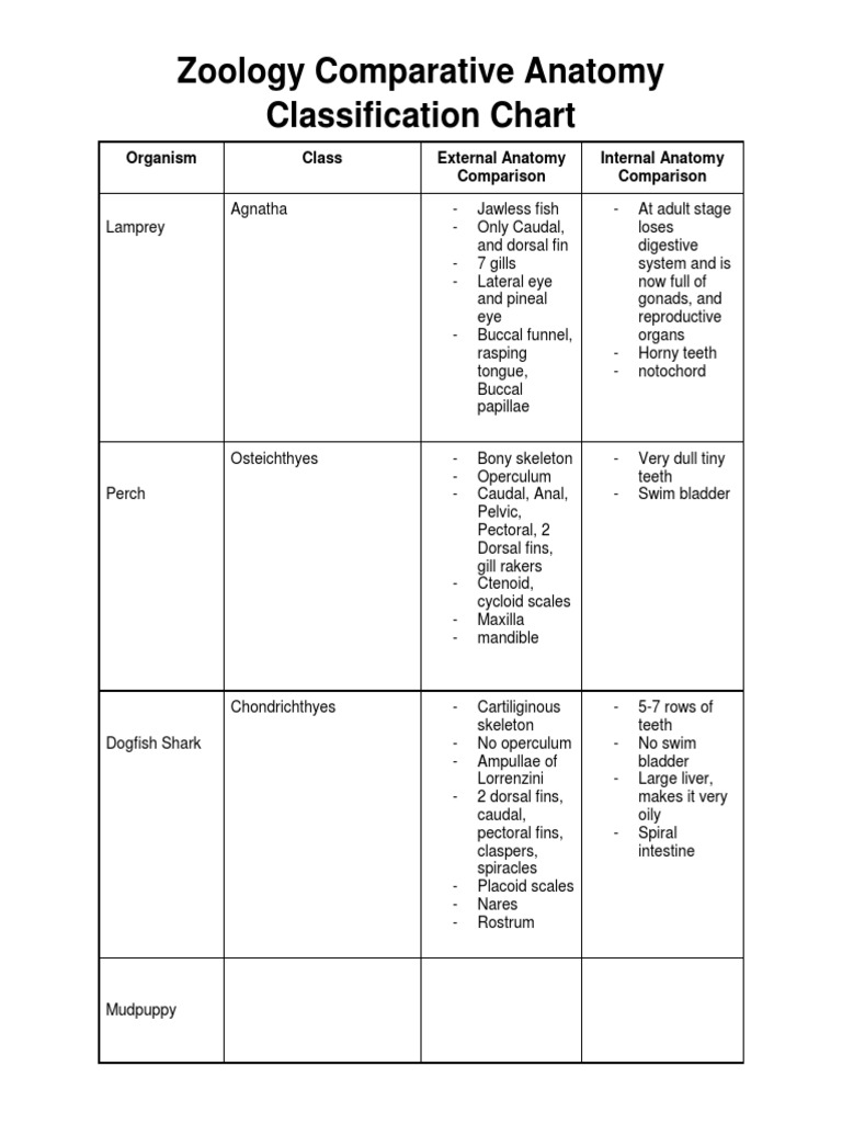Zoology Comparative Anatomy Classification Chart: Organism Class ...