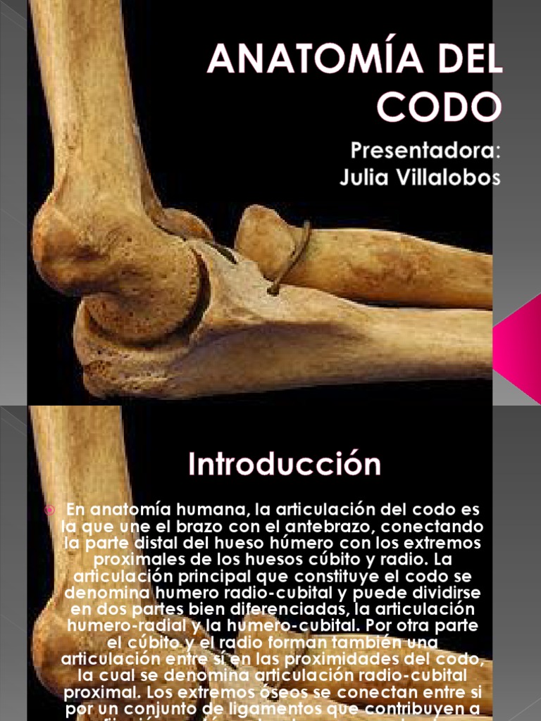 Anatomía Del Codo | PDF | Codo | Articulación