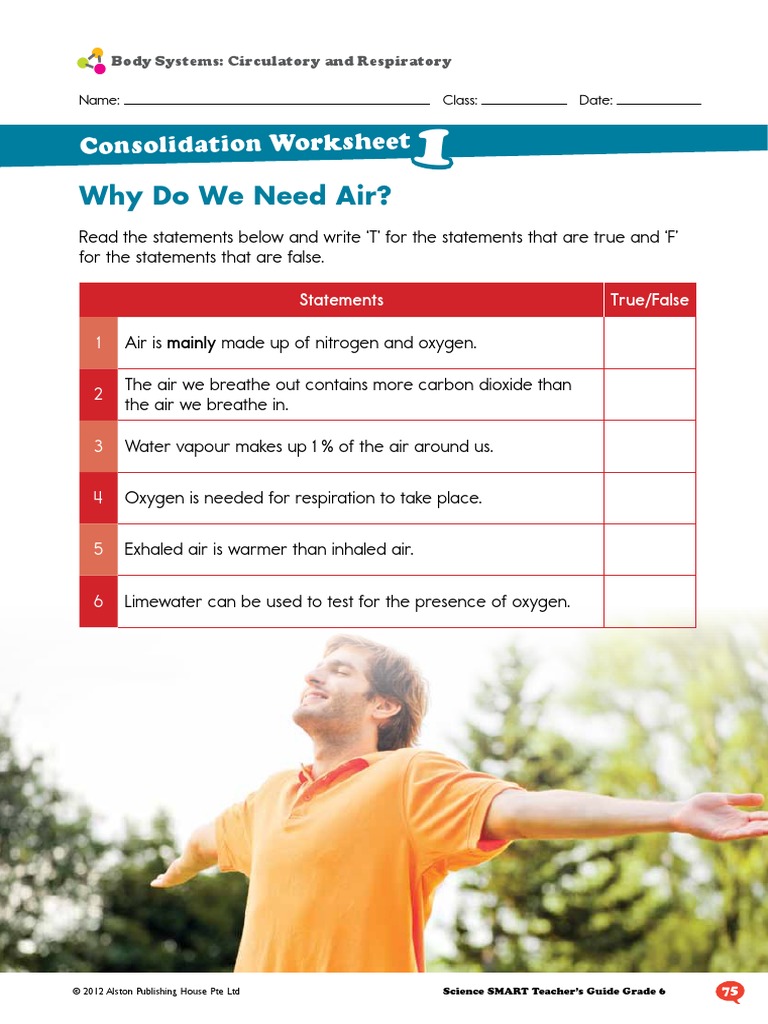 Why Do We Need Air?: Consolidation Worksheet | PDF | Respiratory System ...