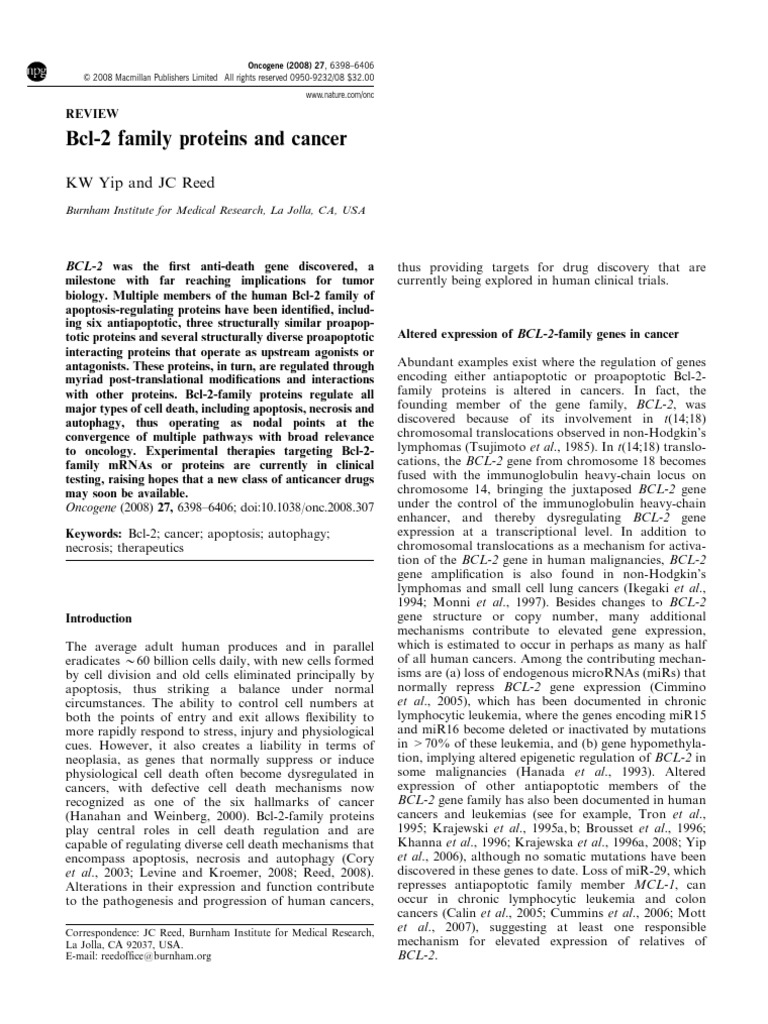 Bcl-2 Family Proteins: Key Regulators of Apoptosis, Autophagy, and ...