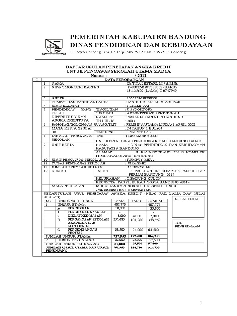 Format DUPAK DR Tita Lestari | PDF