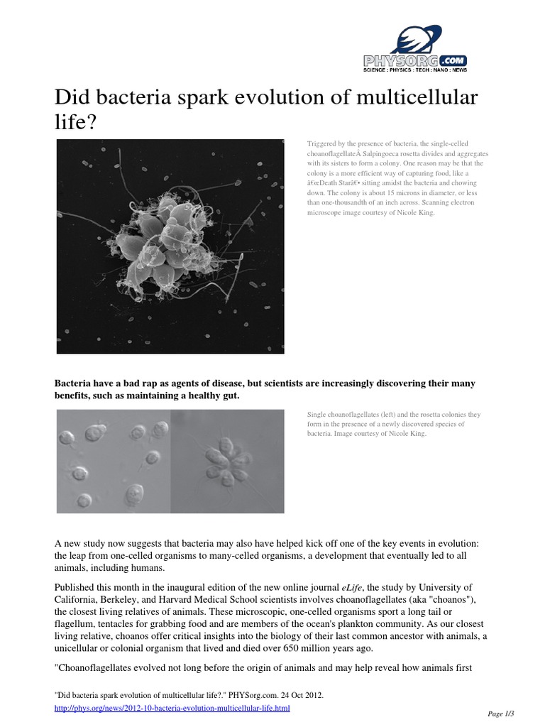 2012 10 Bacteria Evolution Multicellular Life | PDF | Bacteria ...