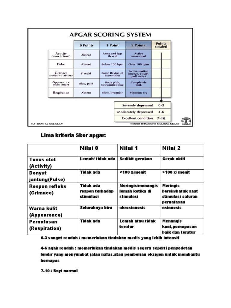 Apgar Score | PDF
