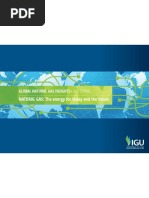 Iaph LNG Bunker Checklist Truck To Ship Final v3.6 - Incl Guidelines ...