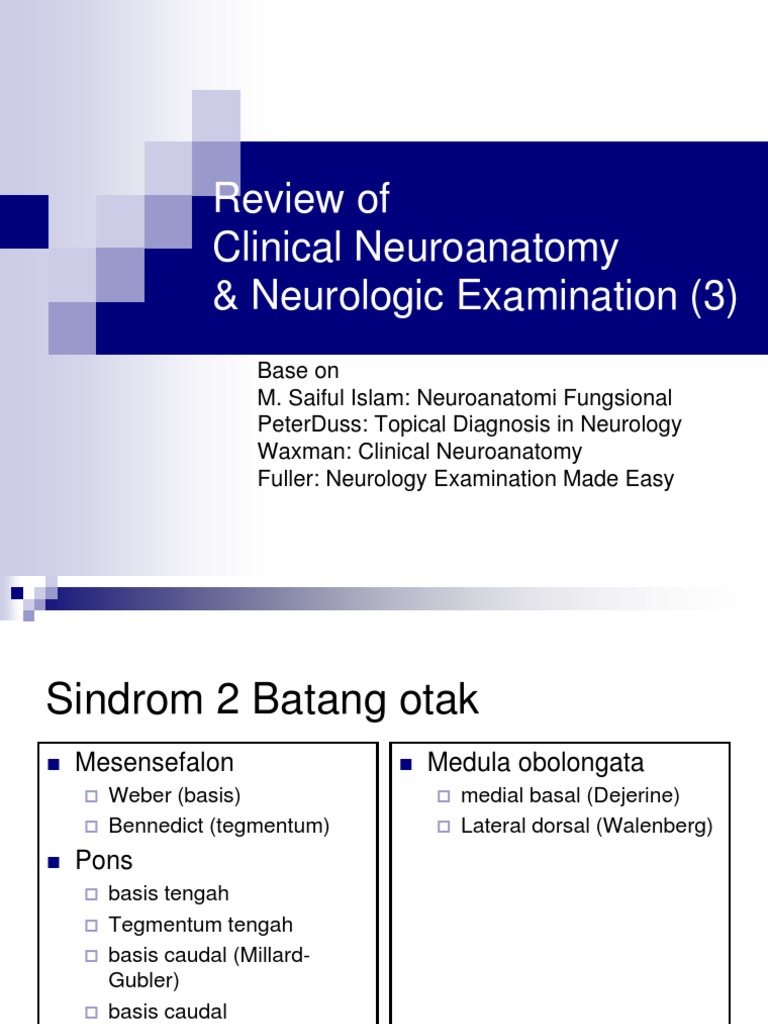 Batang Otak | PDF
