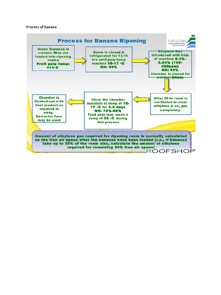 Process Banana | PDF