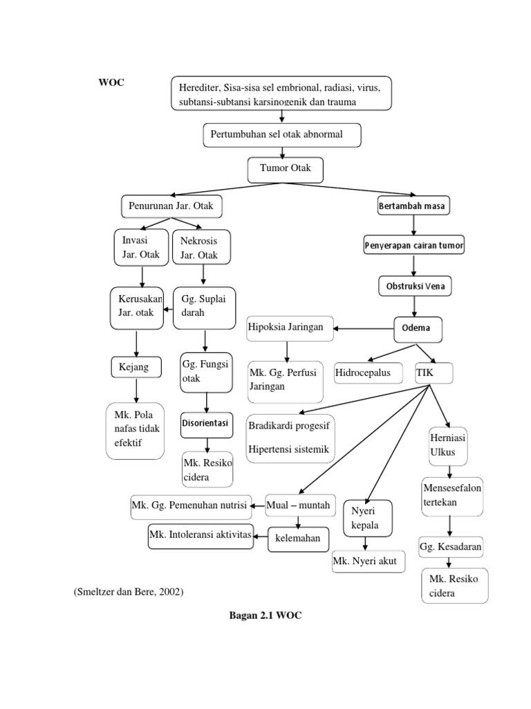 WOC Tumor Otak | PDF