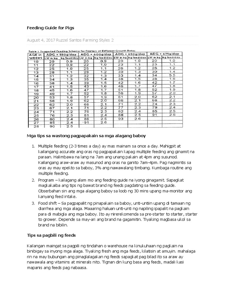 Feeding Guide For Pigs | PDF