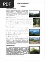Biomas Existentes en Guatemala | PDF | Selva | Zona tropical