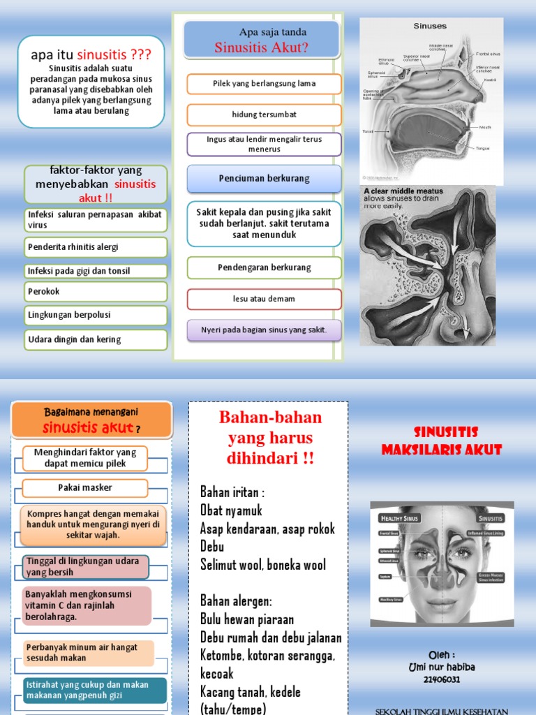 Leaflet Sinusitis | PDF
