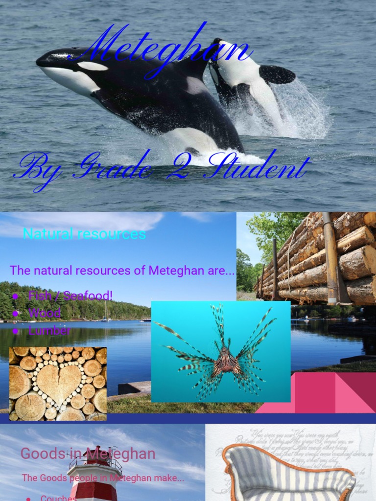 Meteghan Exemplar | PDF | Acadians | Nova Scotia