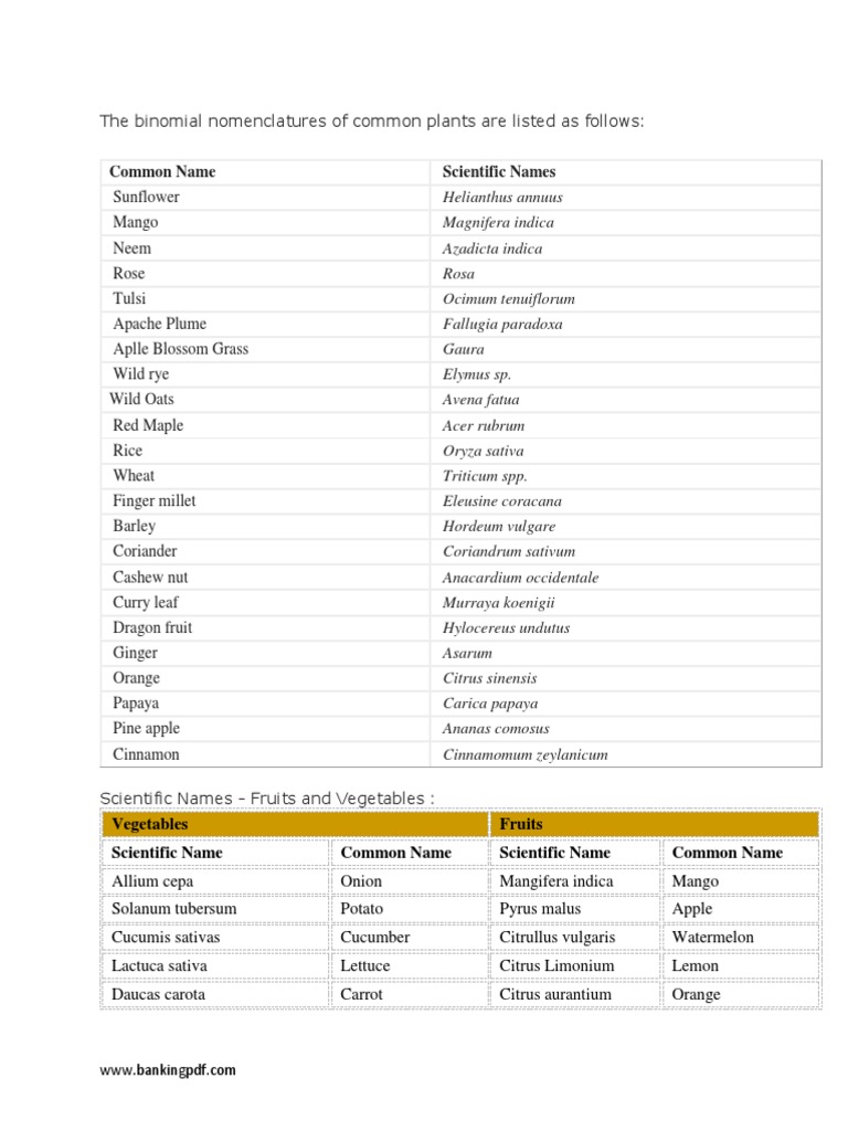 Scientific Names of Common Plants | PDF | Domesticated Plants | Ethnobotany