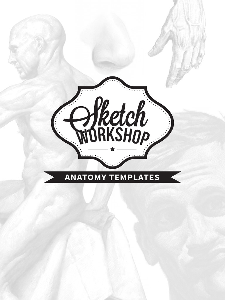 Anatomy Template | PDF