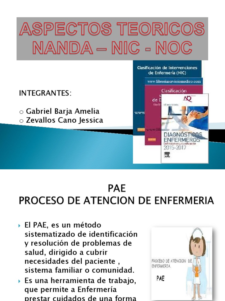 Nanda - Nic - Noc Amelia | Ciencias de la Salud | Medicina