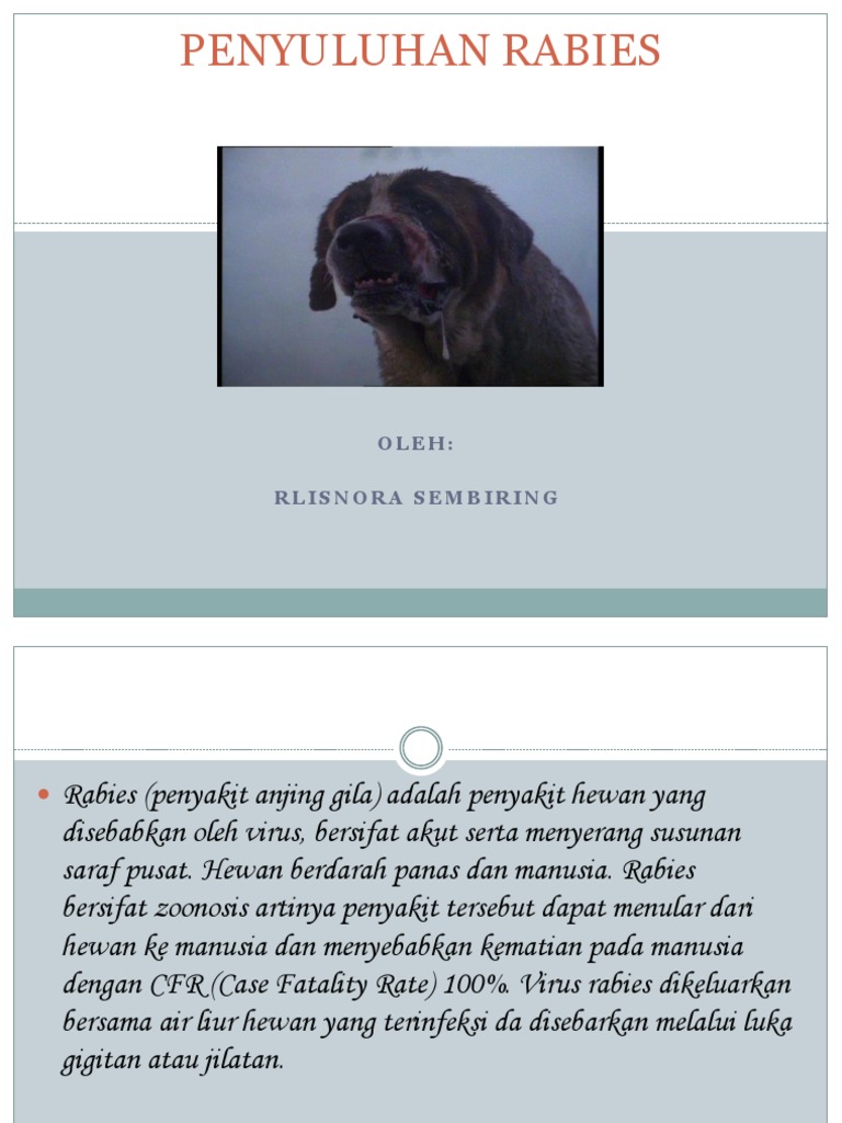 Power Point Rabies-1 | PDF