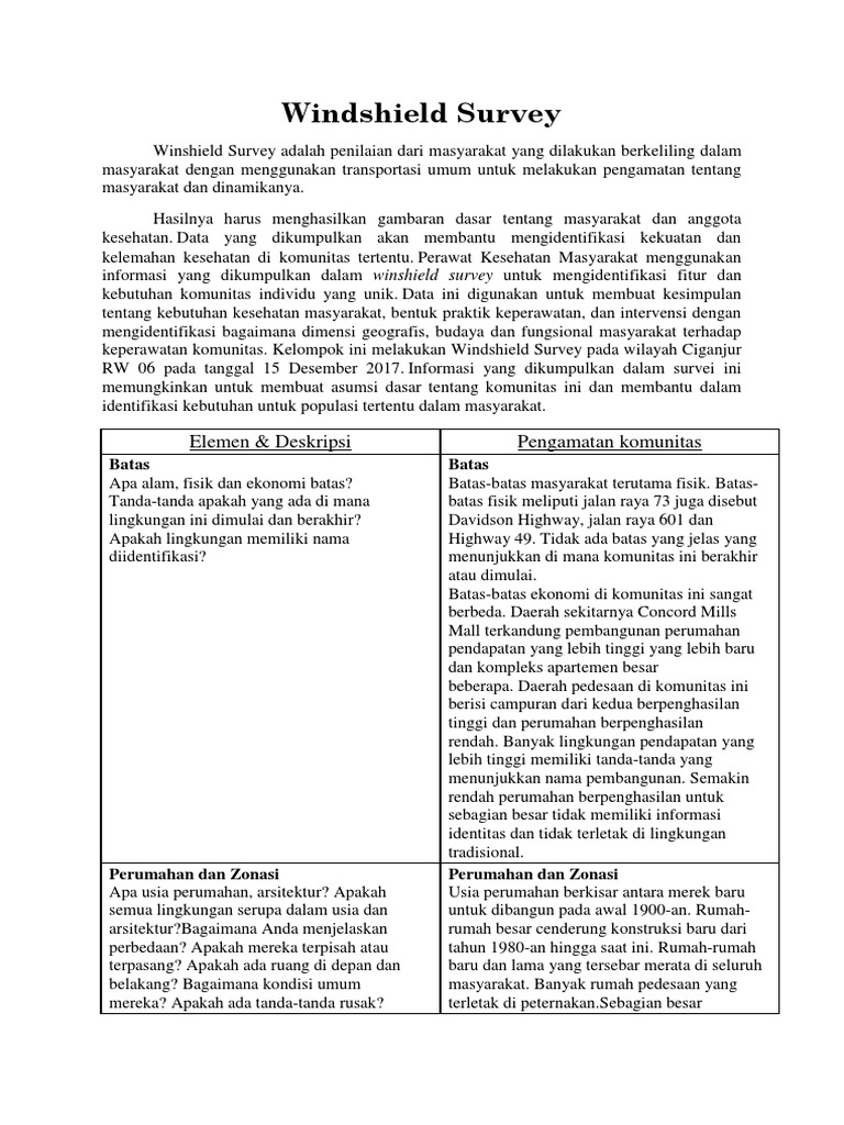 Contoh Windshield Survey | PDF
