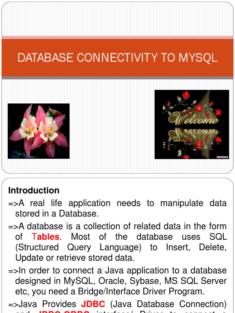 Database Connectivity To Mysql | PDF | Sql | Databases