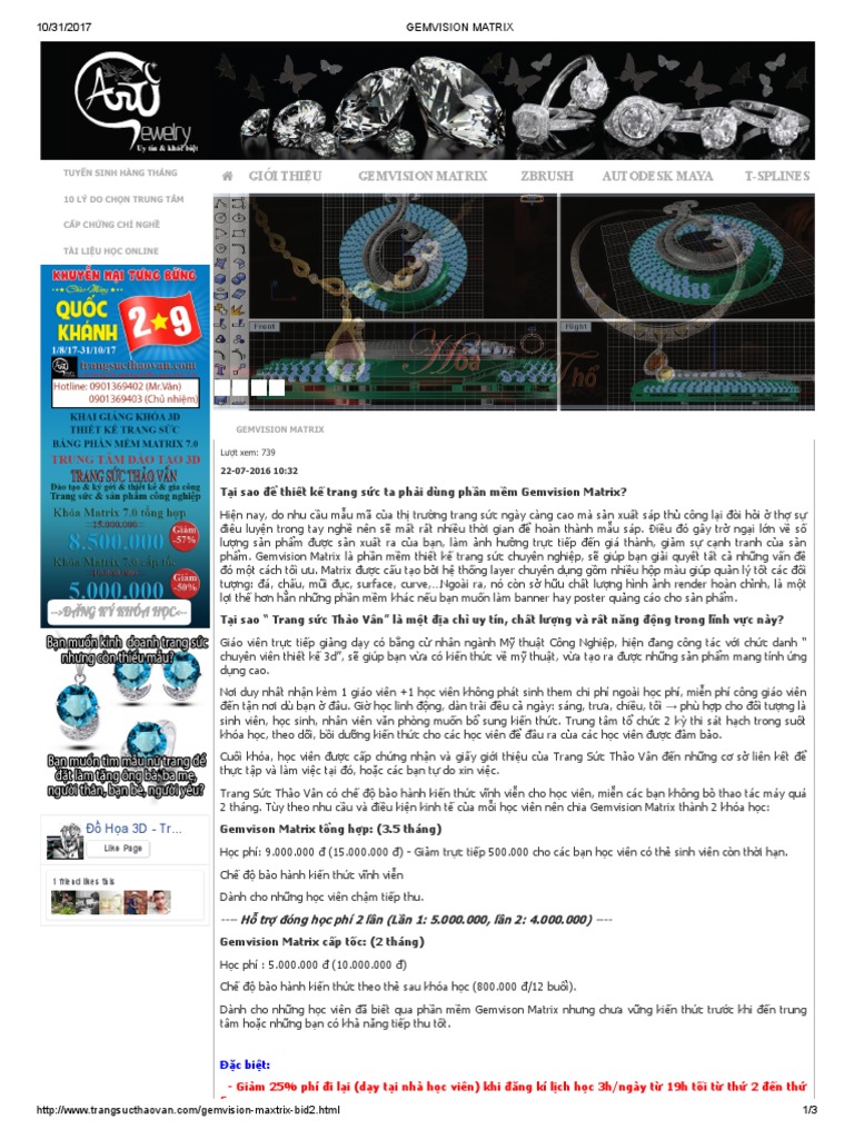 Gemvision Matrix | PDF