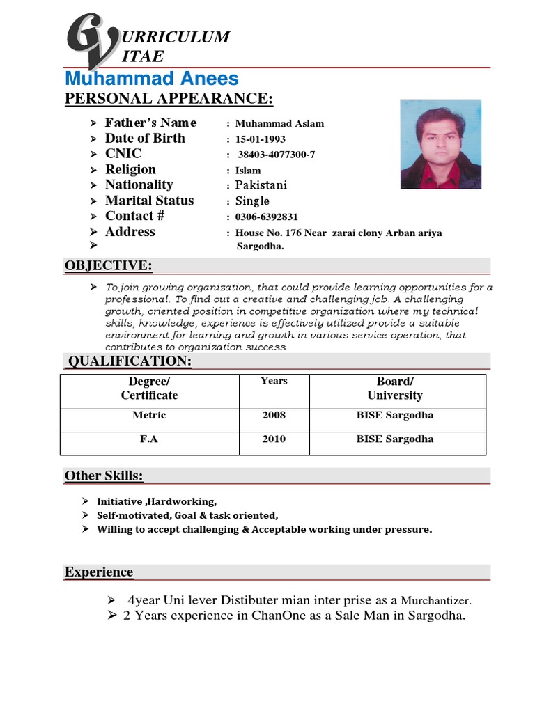 Muhammad Anees CV and Experience Summary | PDF