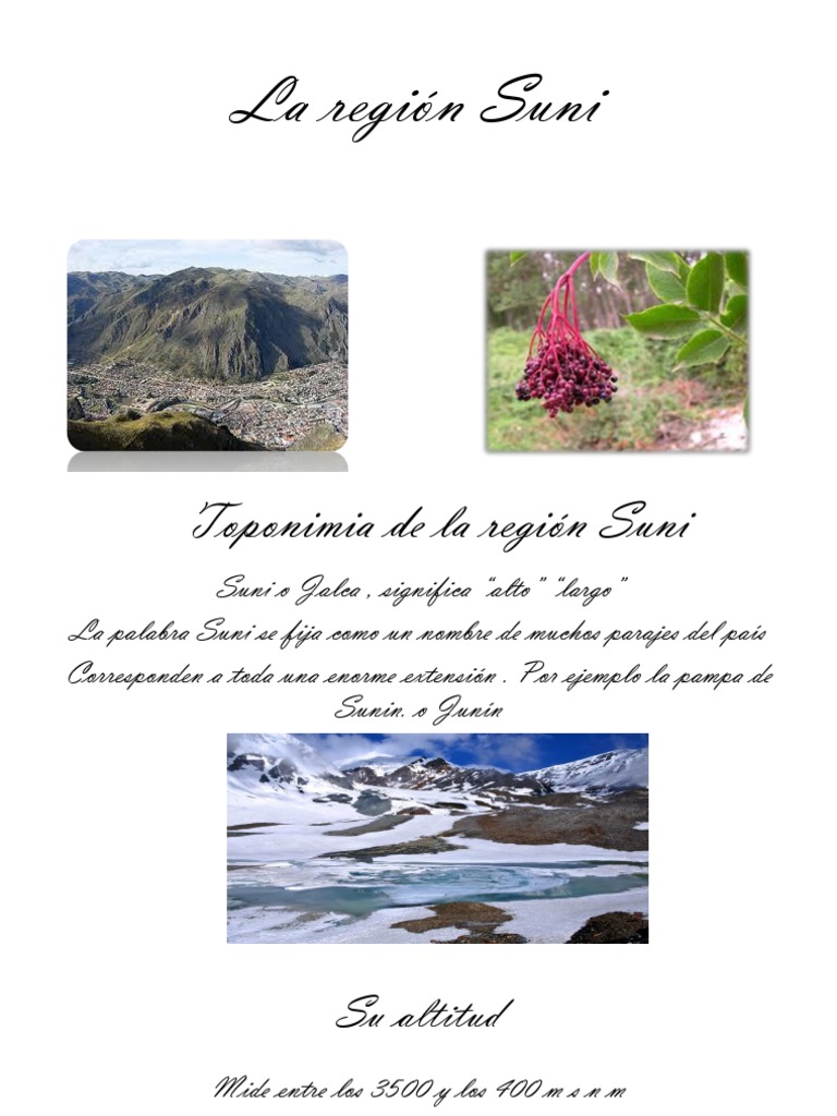 La Region Suni | PDF | Geografía | Geografía Física