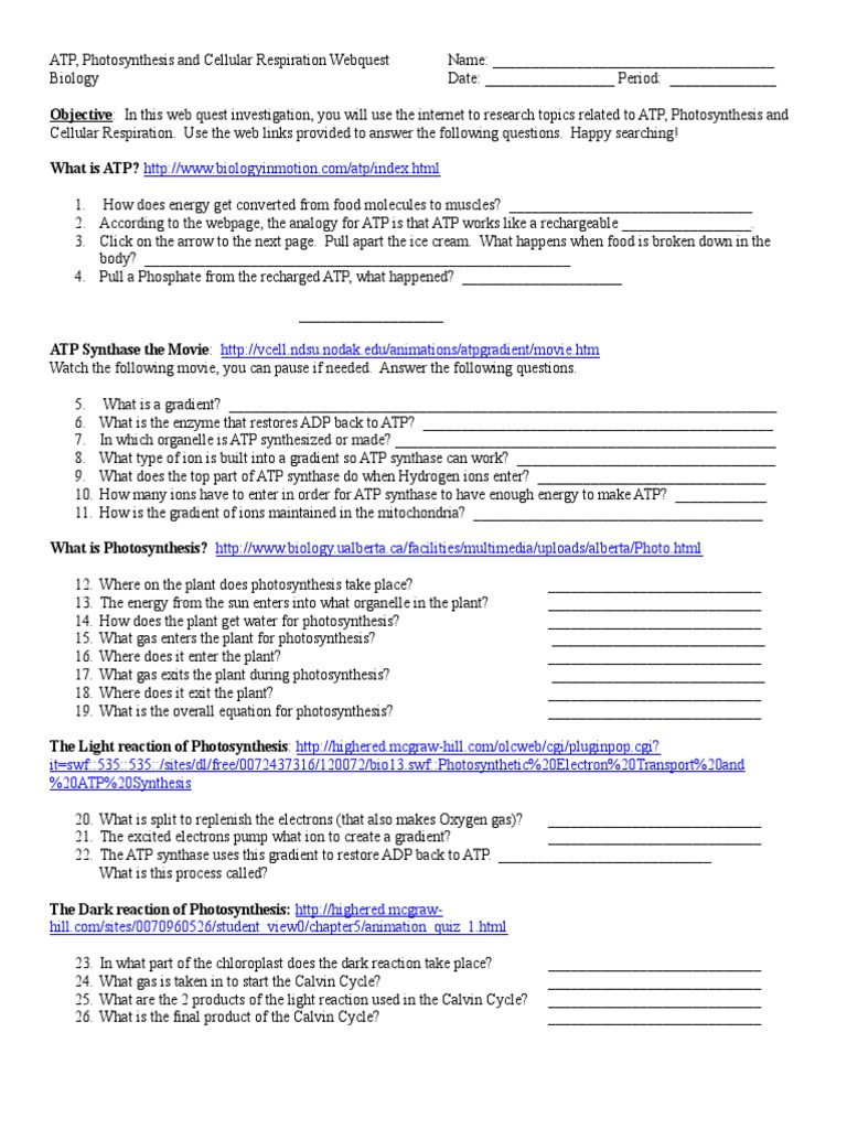 ATP Photosynthesis and Cell Respiration Web Quest | PDF | Cellular ...