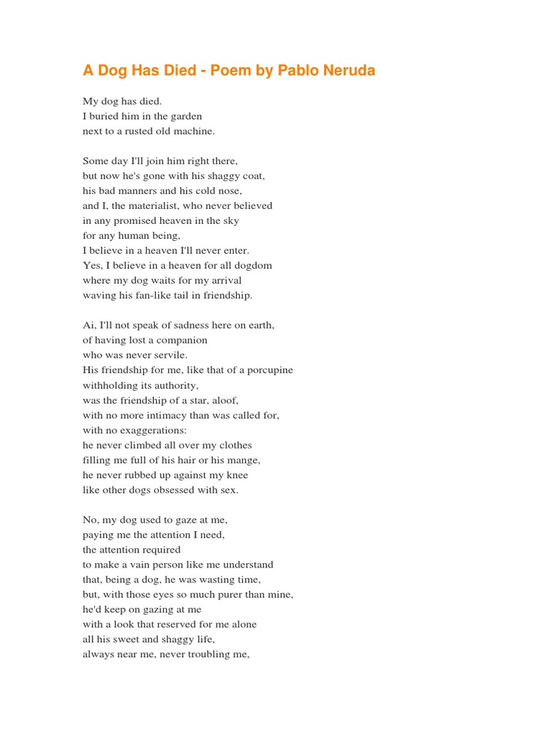 A Poem About My Dog | PDF