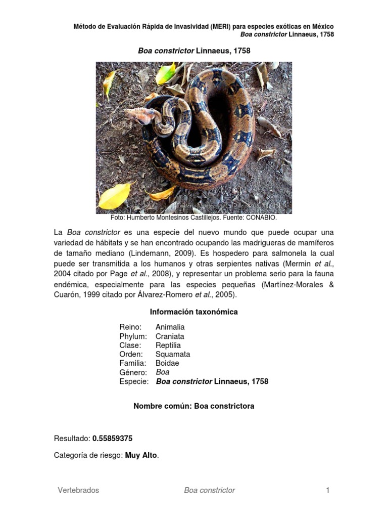 Boa Constrictor A | PDF | Especies | Organismos