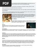 El Ayotl: Instrumento Musical Prehispánico | PDF | Instrumentos ...
