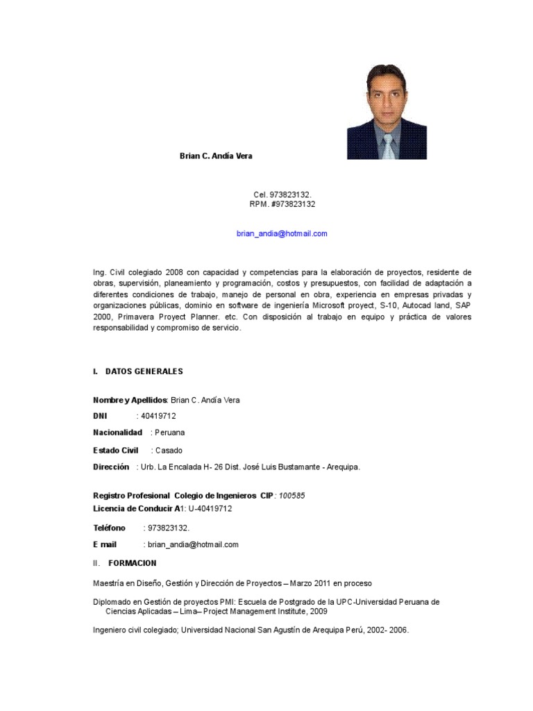 CV Brian 2013 | PDF | Perú | Ingeniero civil