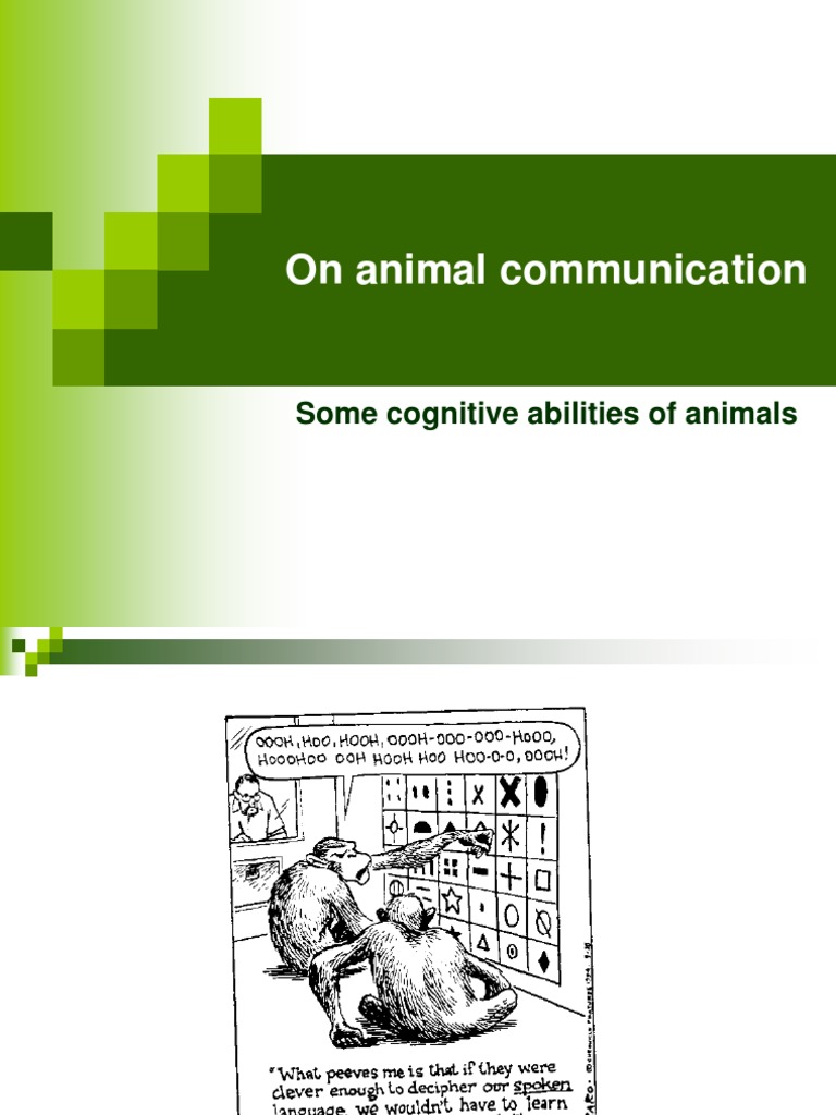 On Animal Communication: Some Cognitive Abilities of Animals | PDF ...