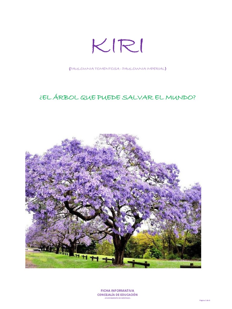 Arbol Kiri | PDF | Plantas | Horticultura y jardinería