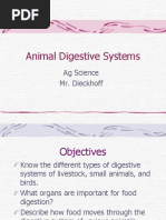 Labeled Pig Kidney Dissection Guide | PDF | Kidney | Urinary System