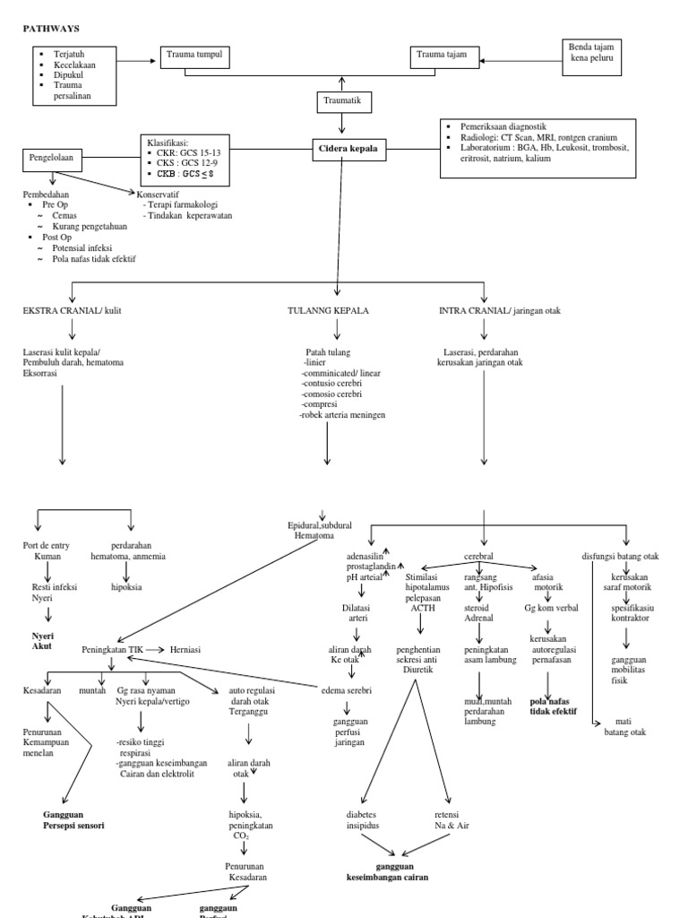 Pathways CKR | PDF