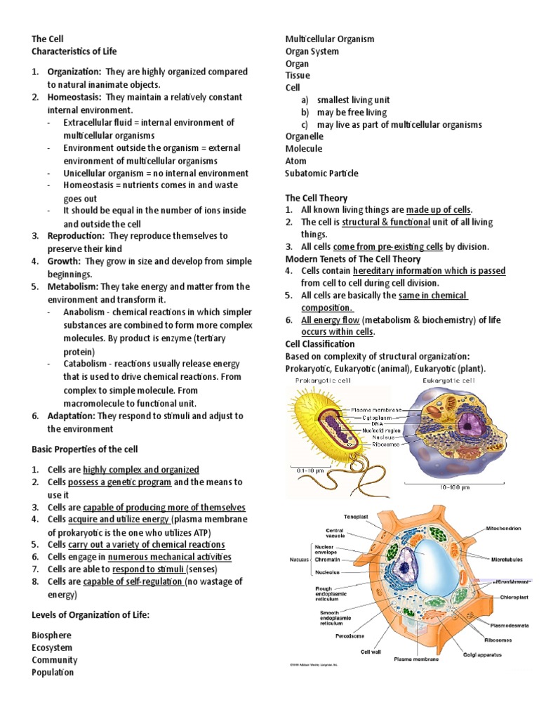 cell bio quiz 1 | Cell (Biology) | Eukaryotes