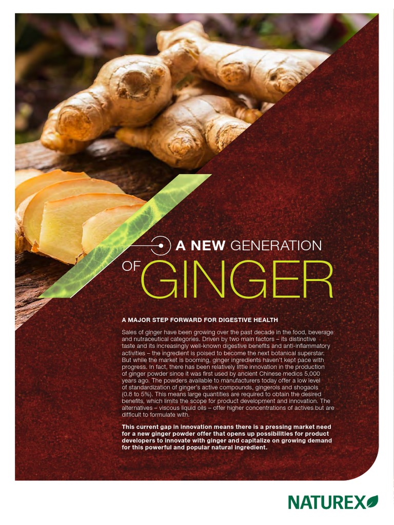 Naturex Gingest PDF | PDF | Ginger | Indigestion