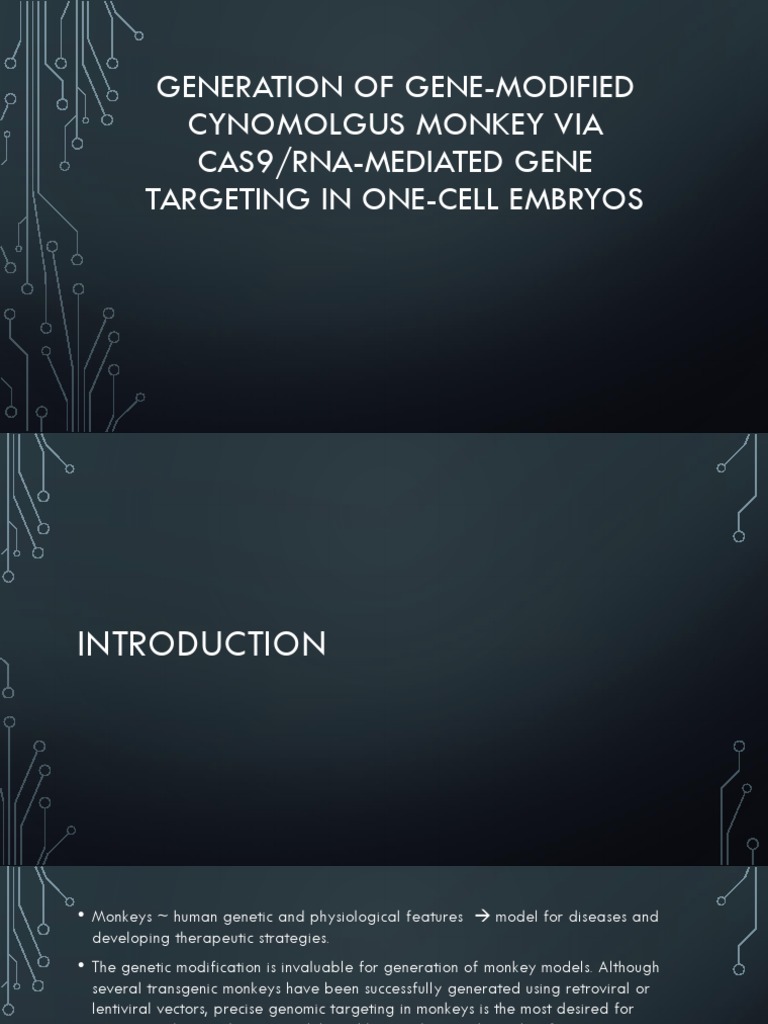 Generation of Gene-Modified Cynomolgus Monkey Via Cas9 | PDF | Single ...