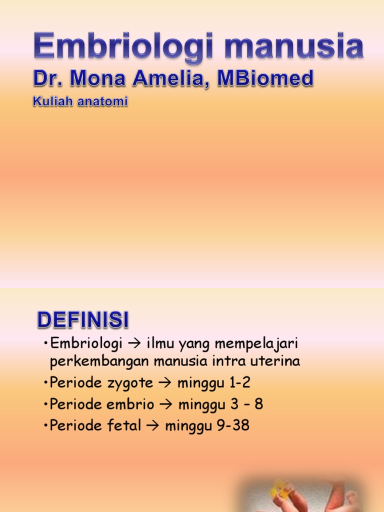 Embriologi Manusia | PDF