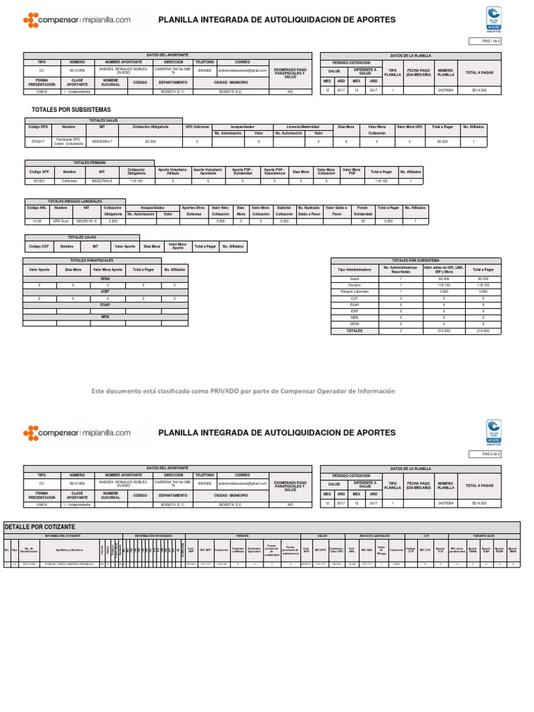 Ver Planilla PDF | PDF