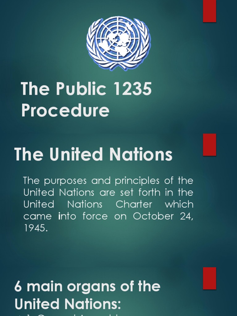 The Public 1235 Procedure | PDF | Human Rights | United Nations
