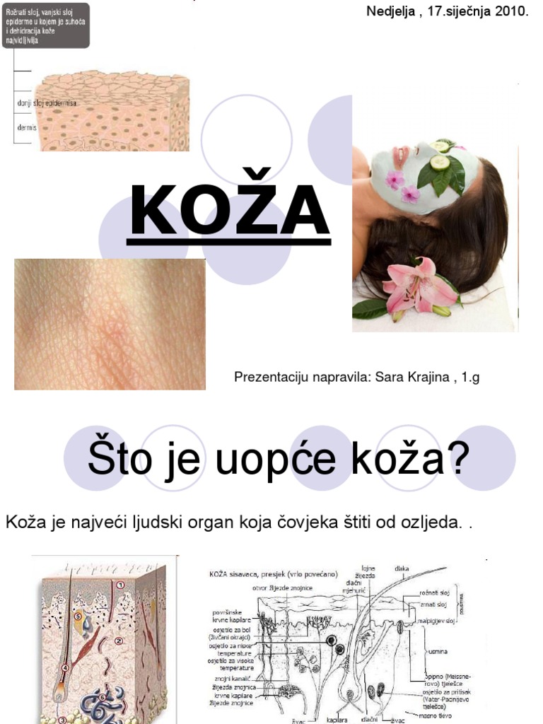 Koza | PDF