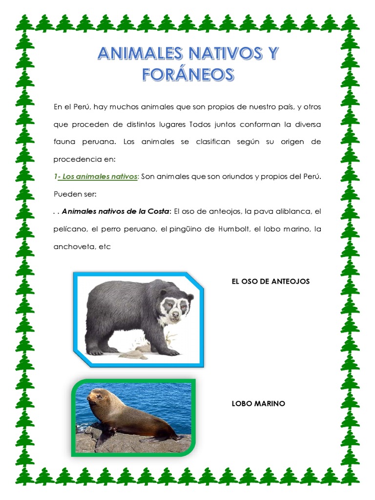 Animales Nativos Americanos